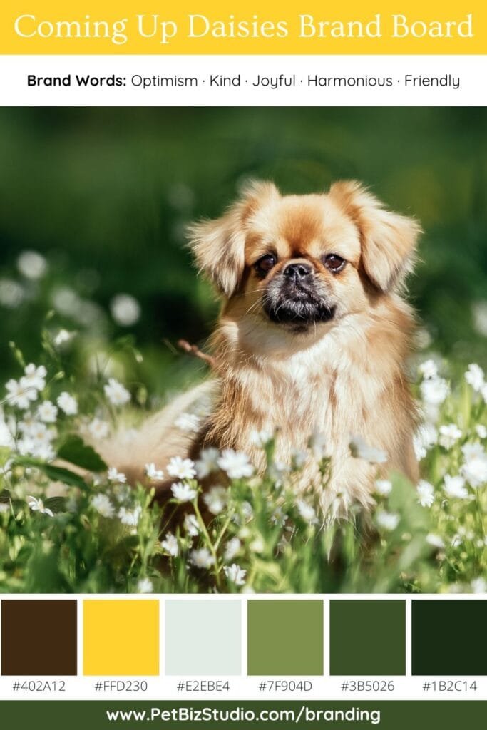 Pet Business Colour Palettes - Professional Brand Colour Schemes