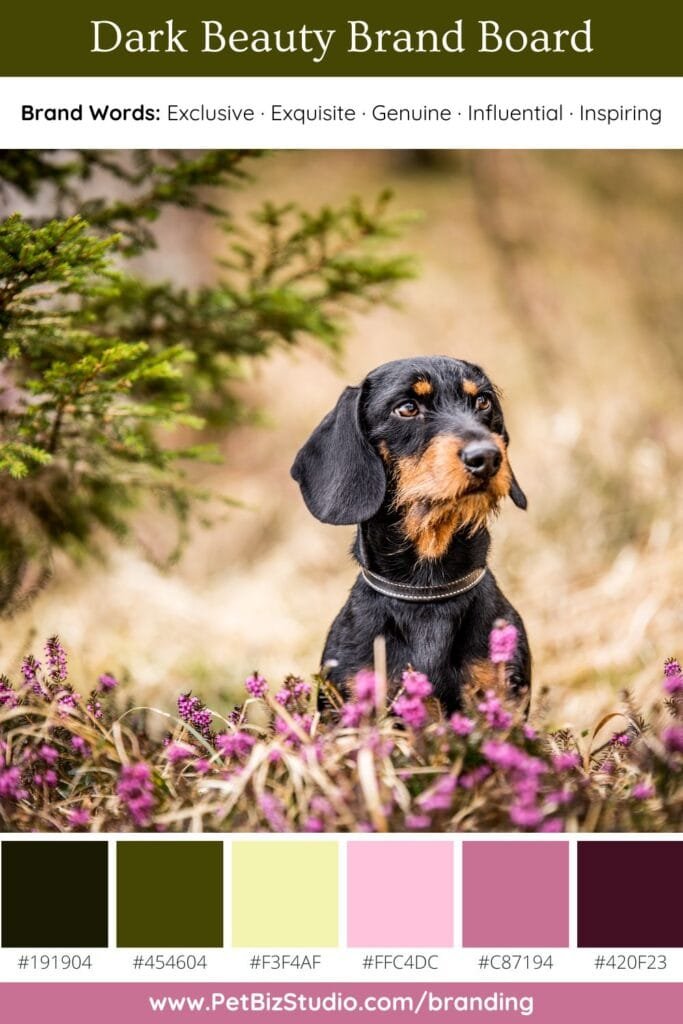 Pet Business Colour Palettes - Professional Brand Colour Schemes