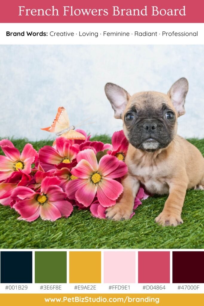 Pet Business Colour Palettes - Professional Brand Colour Schemes